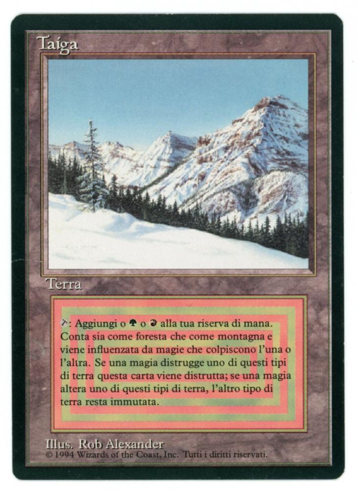 ミントモール / MINT GAMES MTG(東日本橋) / 【3EDBB】【ITA】《Taiga》 PLD M0069