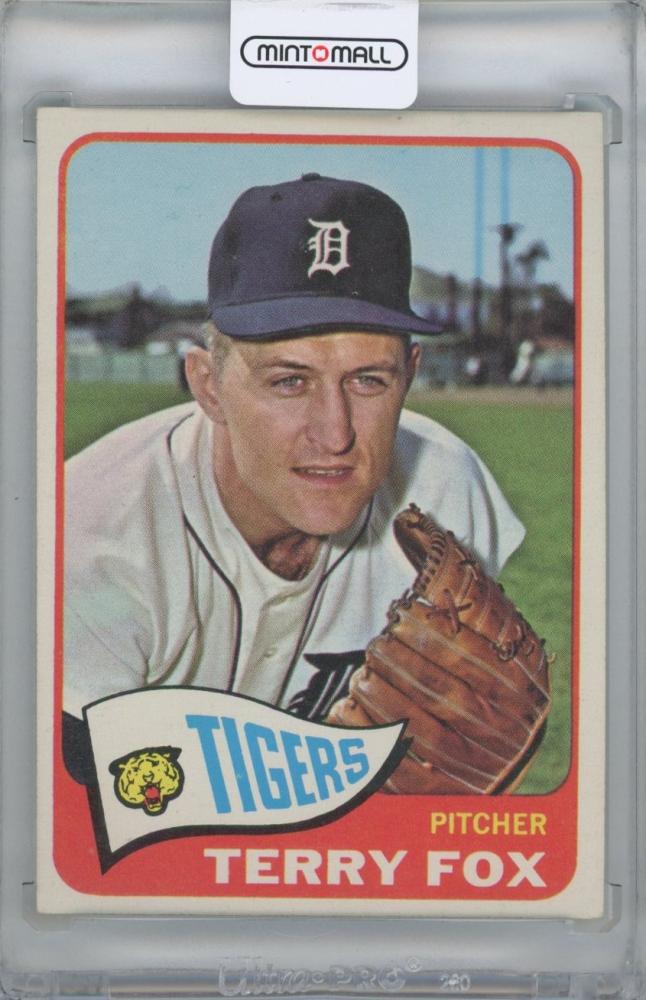 ミントモール / MINT 横浜店 / 1965 TOPPS #576 / TERRY FOX(Detroit Tigers)